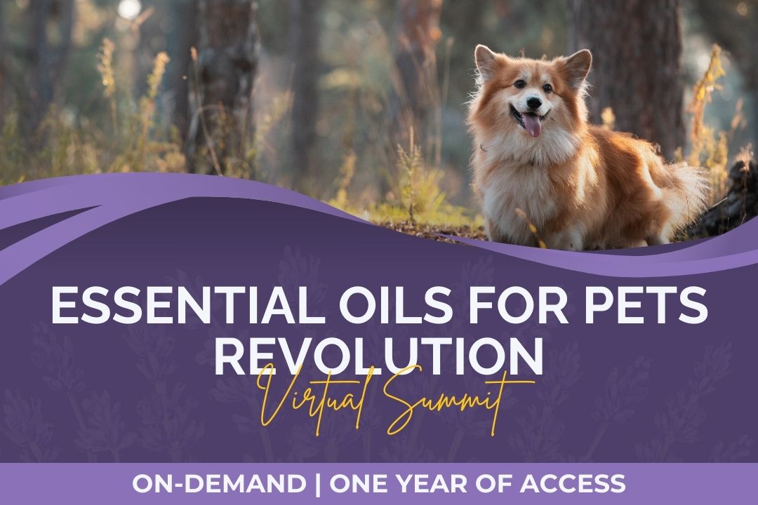 Essential Oils for Pets Revolution – Essential Oil Vet